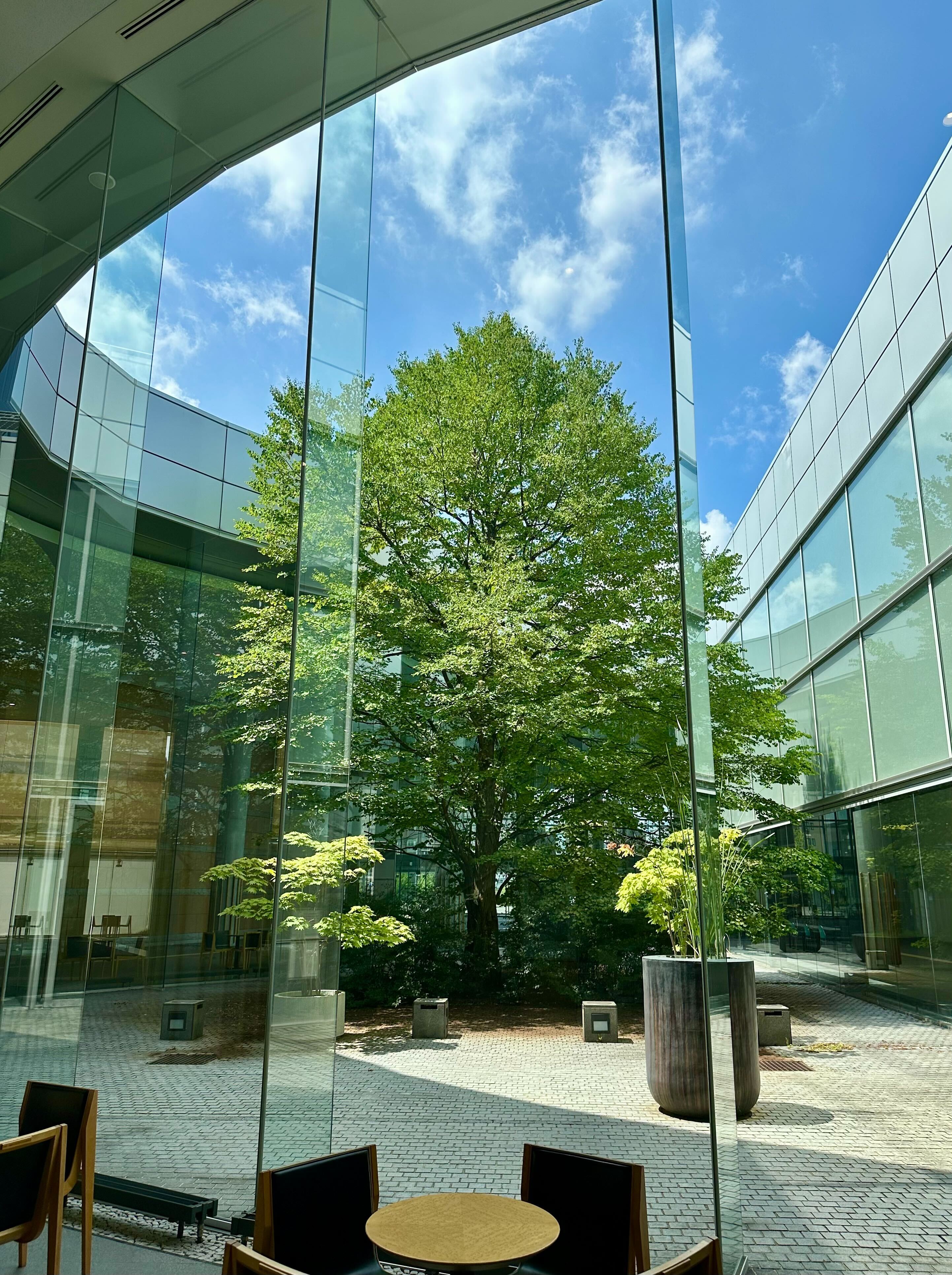 菊池研究室— 明治大学